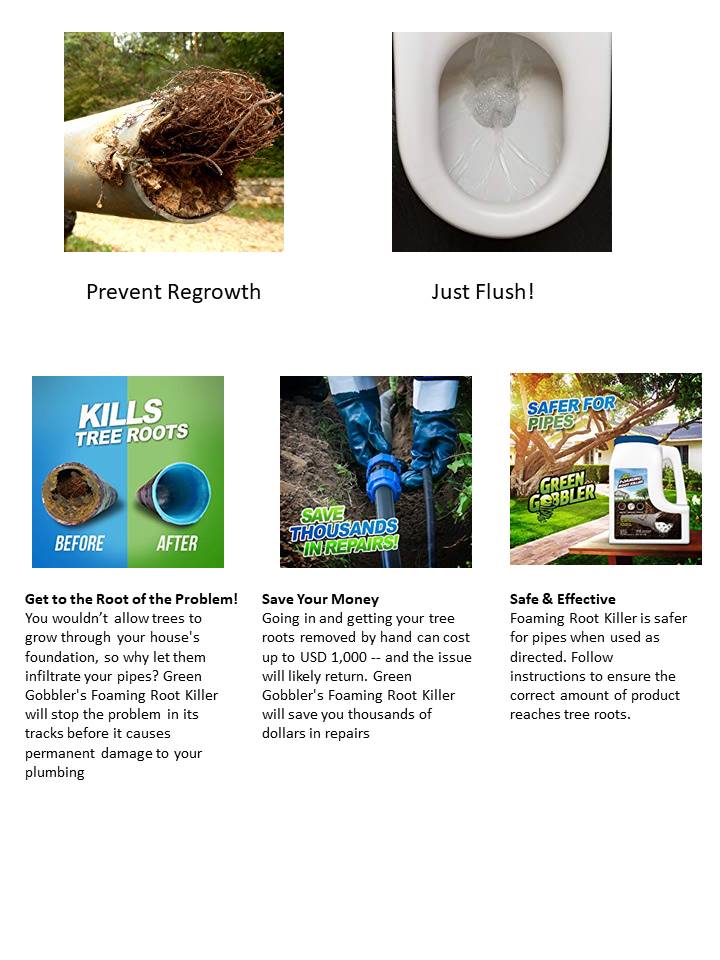 Green Gobbler 20 lbs. Foaming Root Killer-GGFRK-20 - The Home Depot