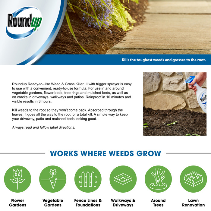 Roundup 24 oz. Ready-to-Use Weed and Grass Killer-500309020 - The Home ...